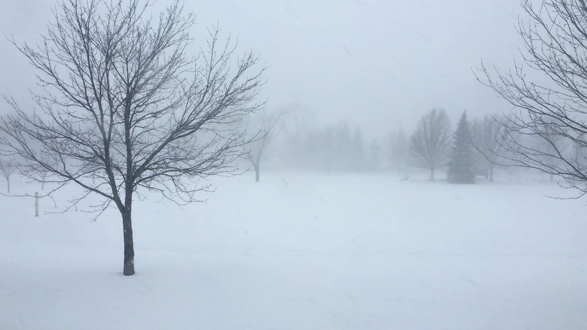 Winter Blizzard Weather Blowing Snow Around Stock Footage SBV-304946448 ...