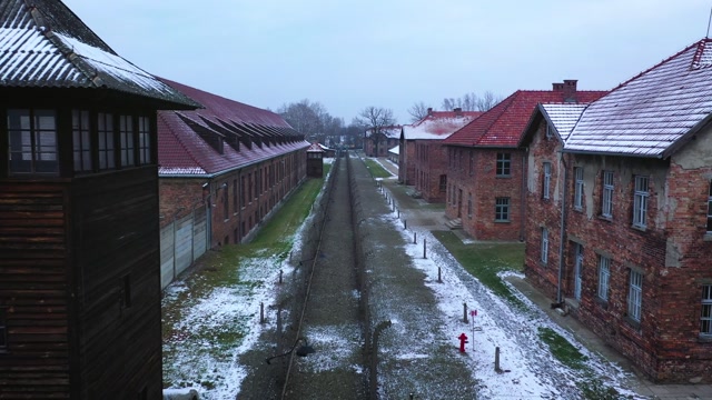 Holocaust Auschwitz Stock Footage: Royalty-Free Video Clips - Storyblocks