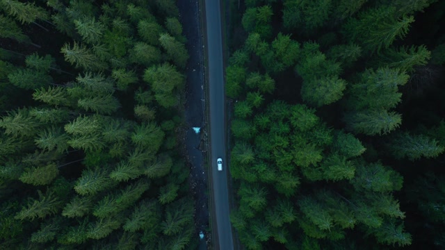 Forest Highway Stock Footage: Royalty-Free Video Clips - Storyblocks