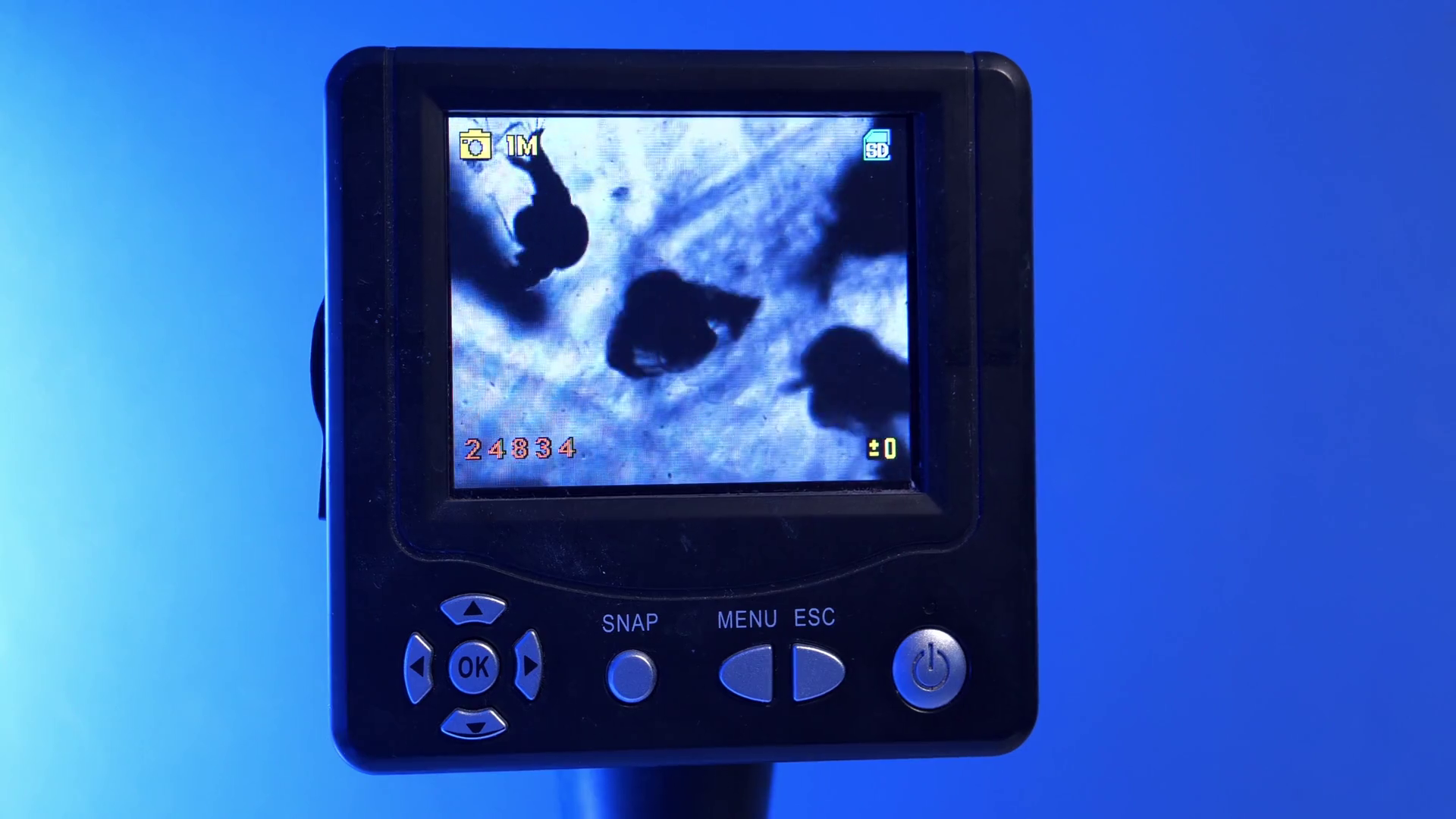 Plankton On Device Screen Under Microscope Stock Footage SBV-349076284 ...