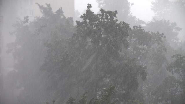 Pooning Video Stock Footage: Royalty-Free Video Clips - Storyblocks