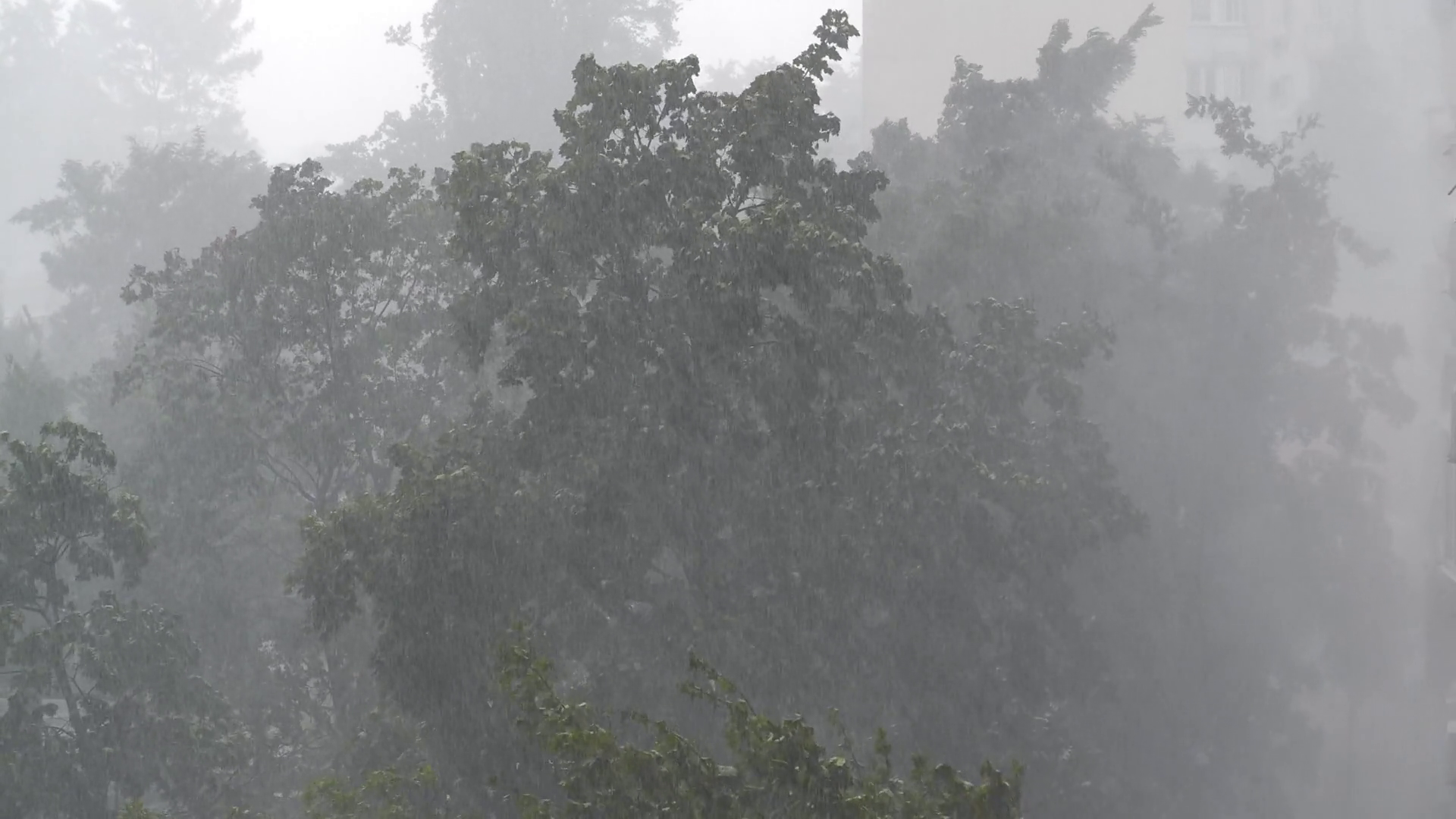 Bad Weather Storm Heavy Rain Wind In City Stock Footage SBV-352656687 ...