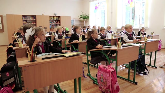 Educate Gymnasium Stock Footage: Royalty-Free Video Clips - Storyblocks