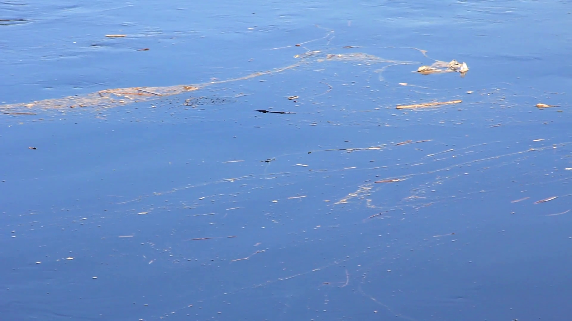 Muddy Water Abuse Of Environment Stock Footage SBV-304825546 - Storyblocks