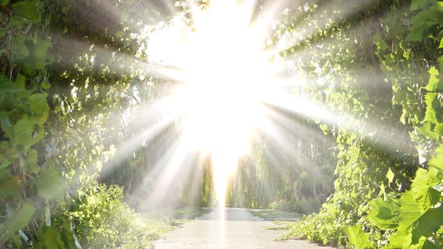 Jesus Christ | Transportation stock footage - Storyblocks