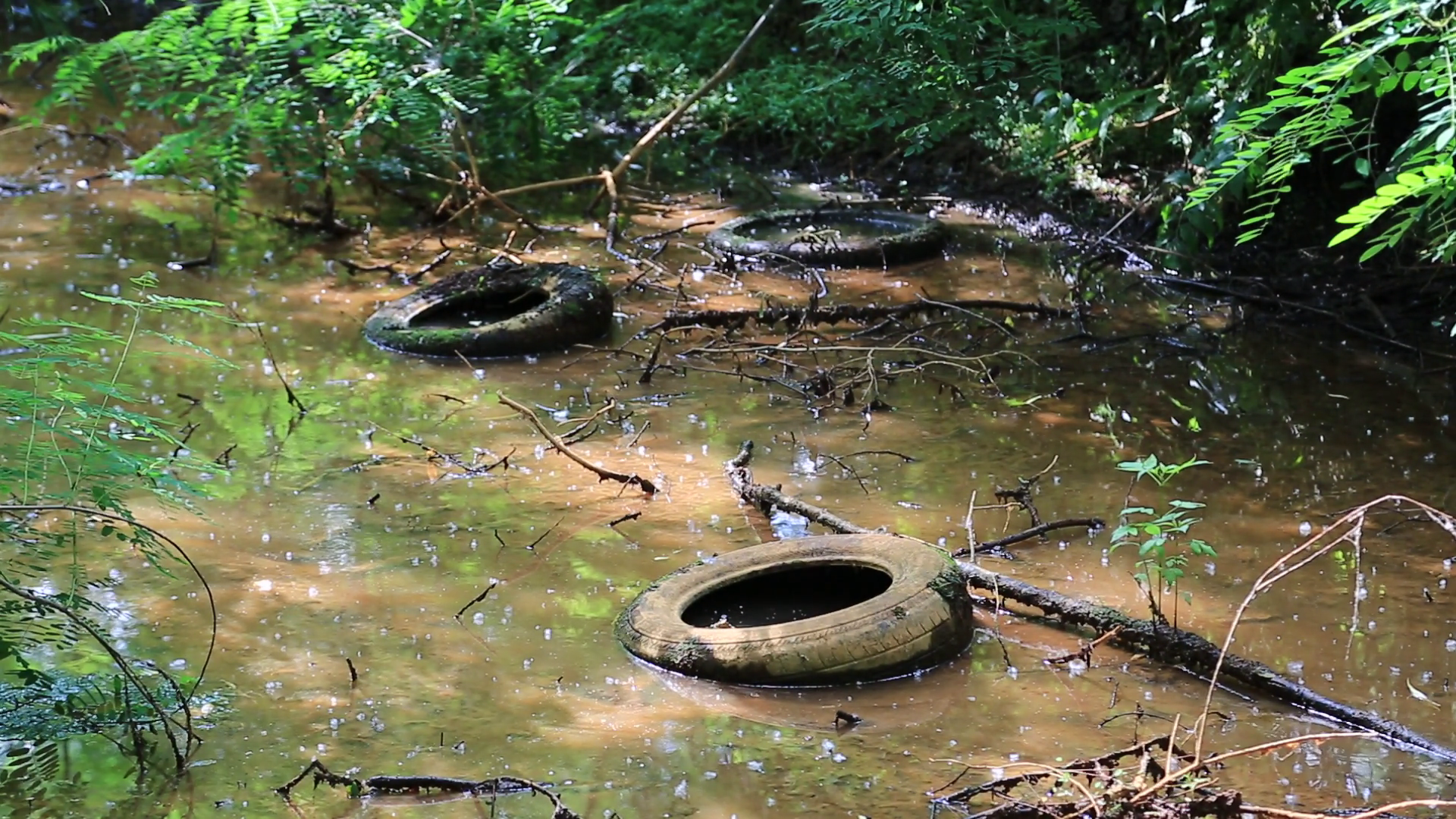 Abuse of environment. Old tyres and other garbage lies on the ...
