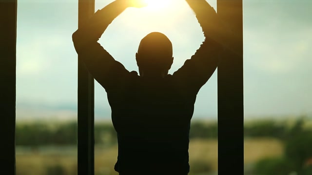 Sunlit Silhouette Stock Footage: Royalty-Free Video Clips - Storyblocks