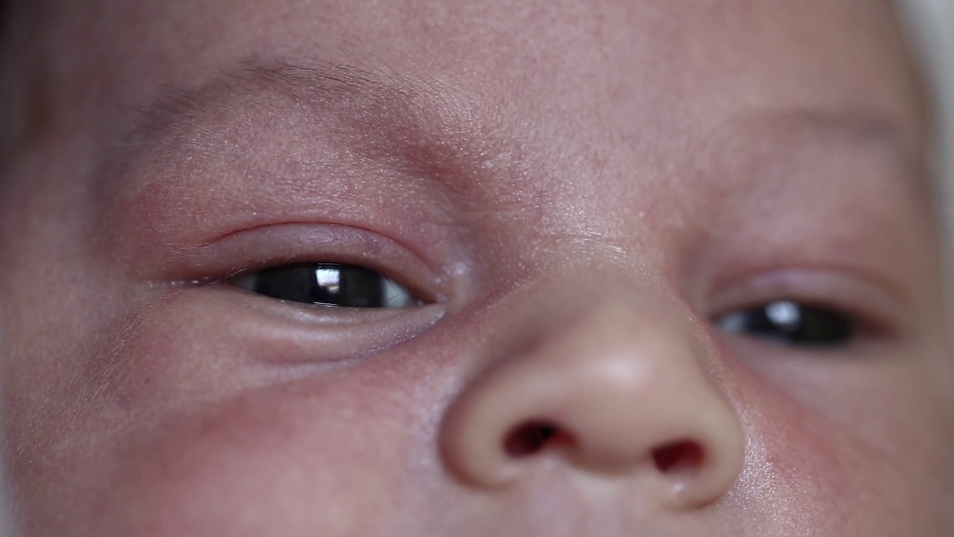 Newborn baby face close up Stock Video Footage - Storyblocks