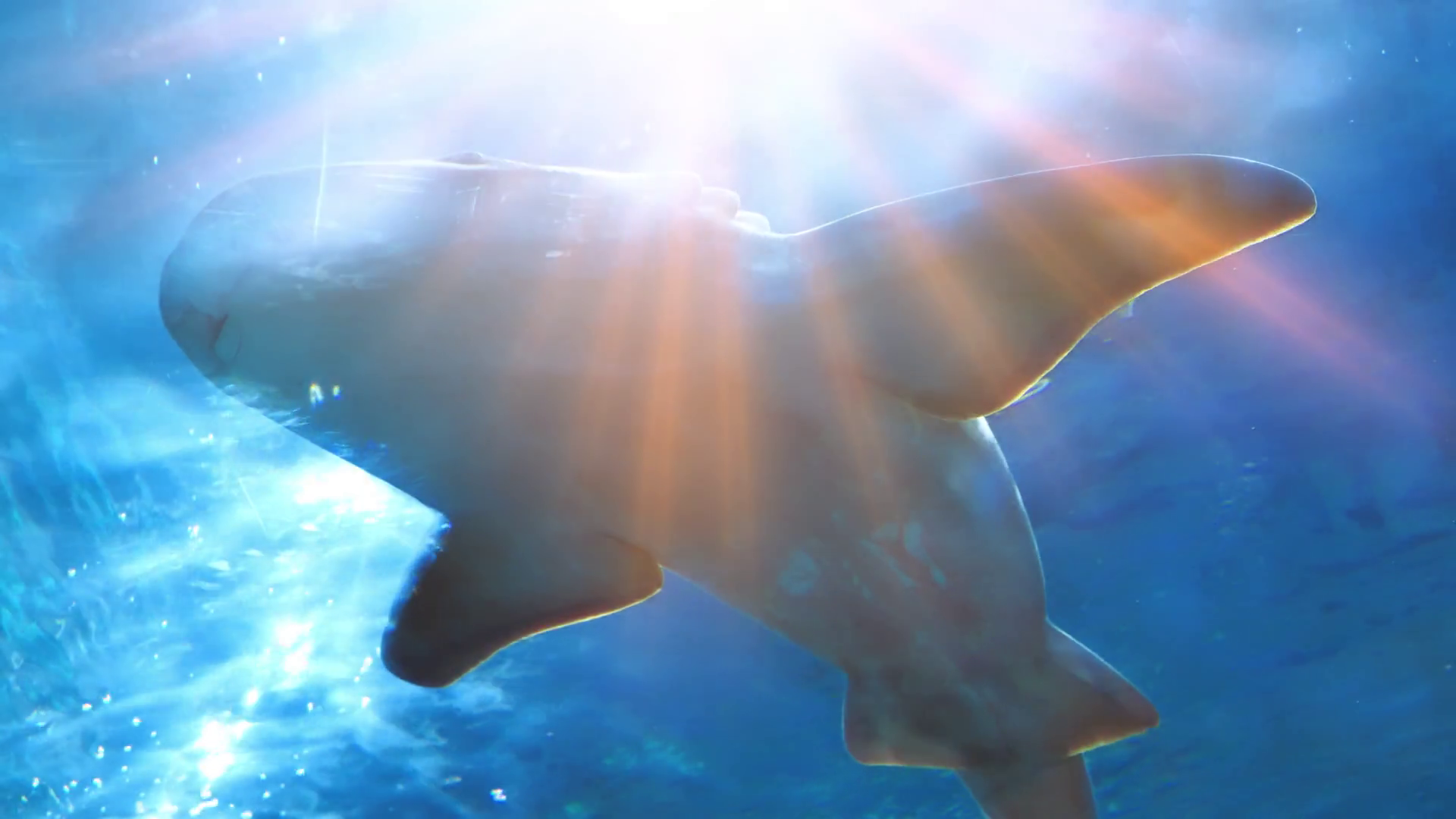Unrealistic Spectacle Big Shark Lies On Stock Footage SBV-337950805 ...