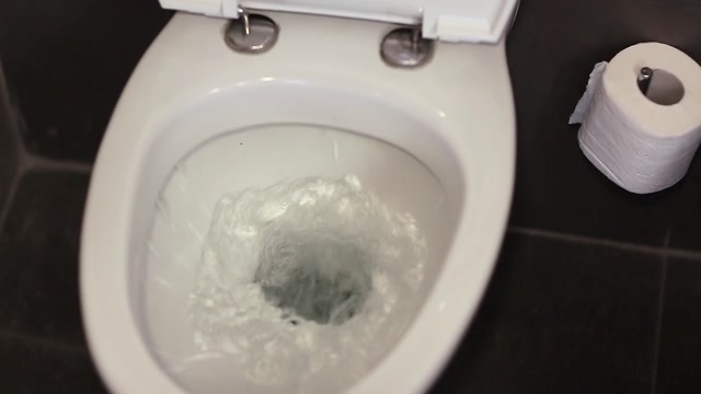 Toilet Animation Stock Footage: Royalty-Free Video Clips - Storyblocks