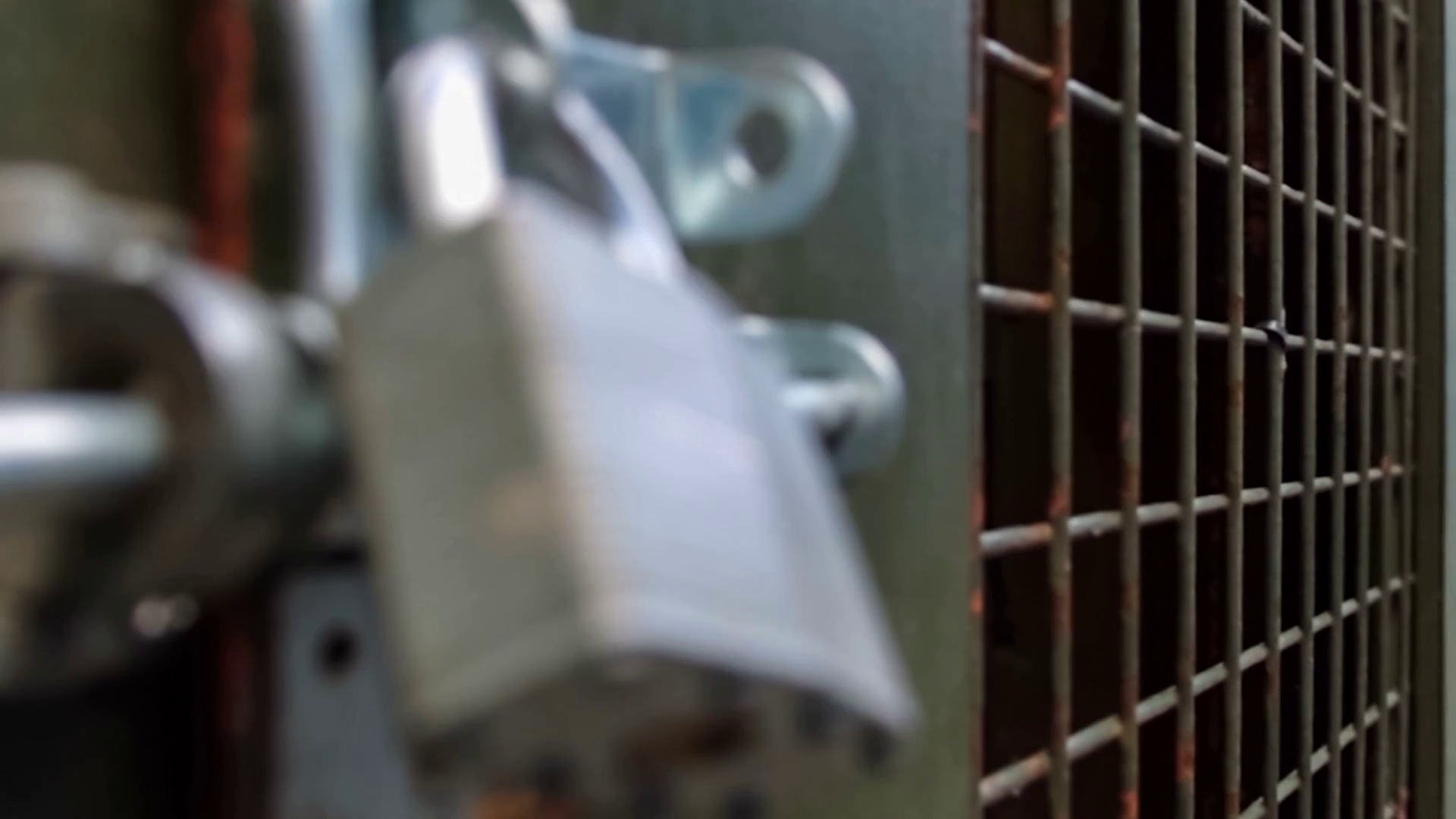 Metal Gate Locked Securely With Padlock Stock Footage SBV-307879440 ...