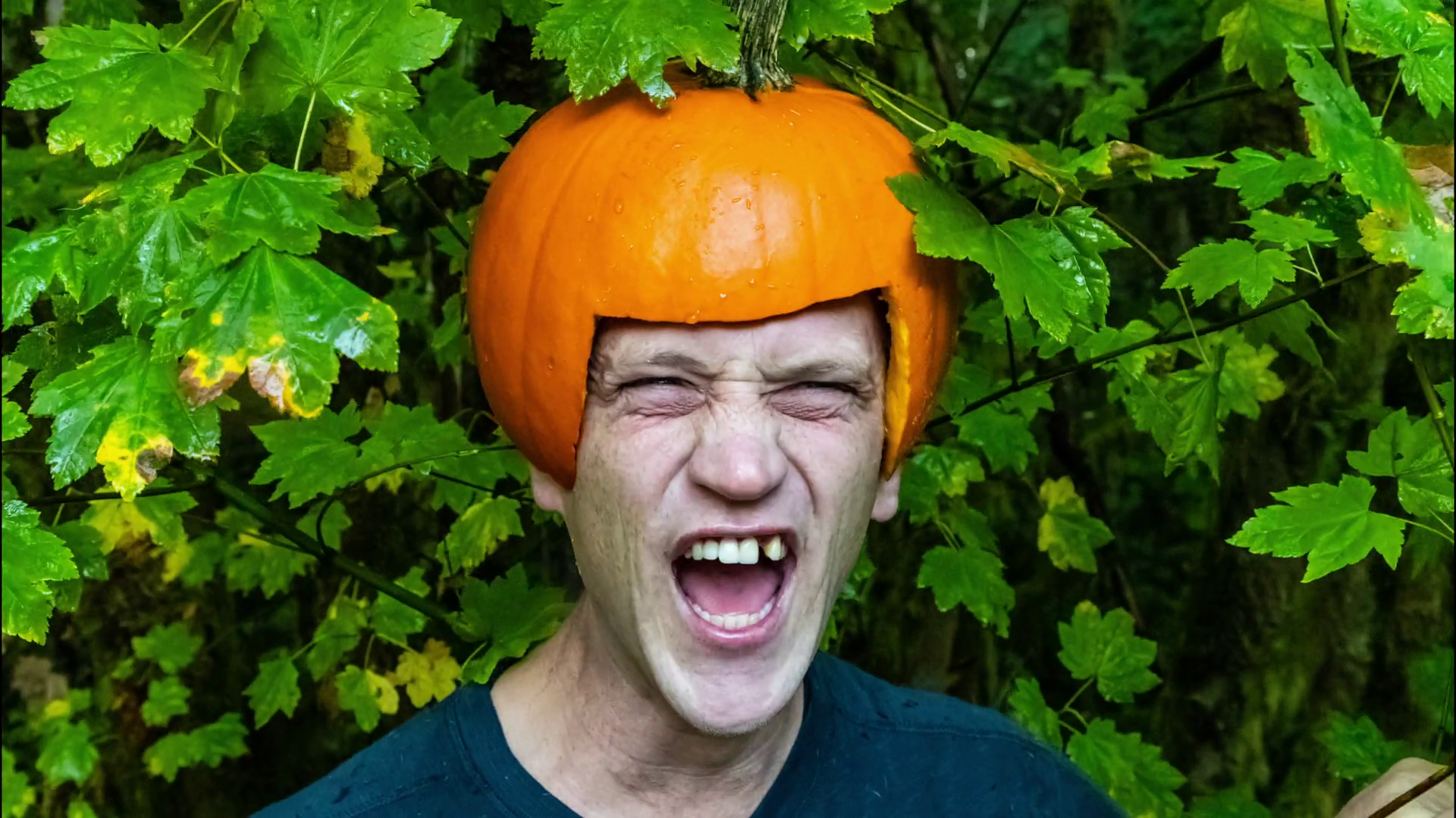 Creepy Man Laughing With Missing Teeth Stock Footage SBV-327939653 ...