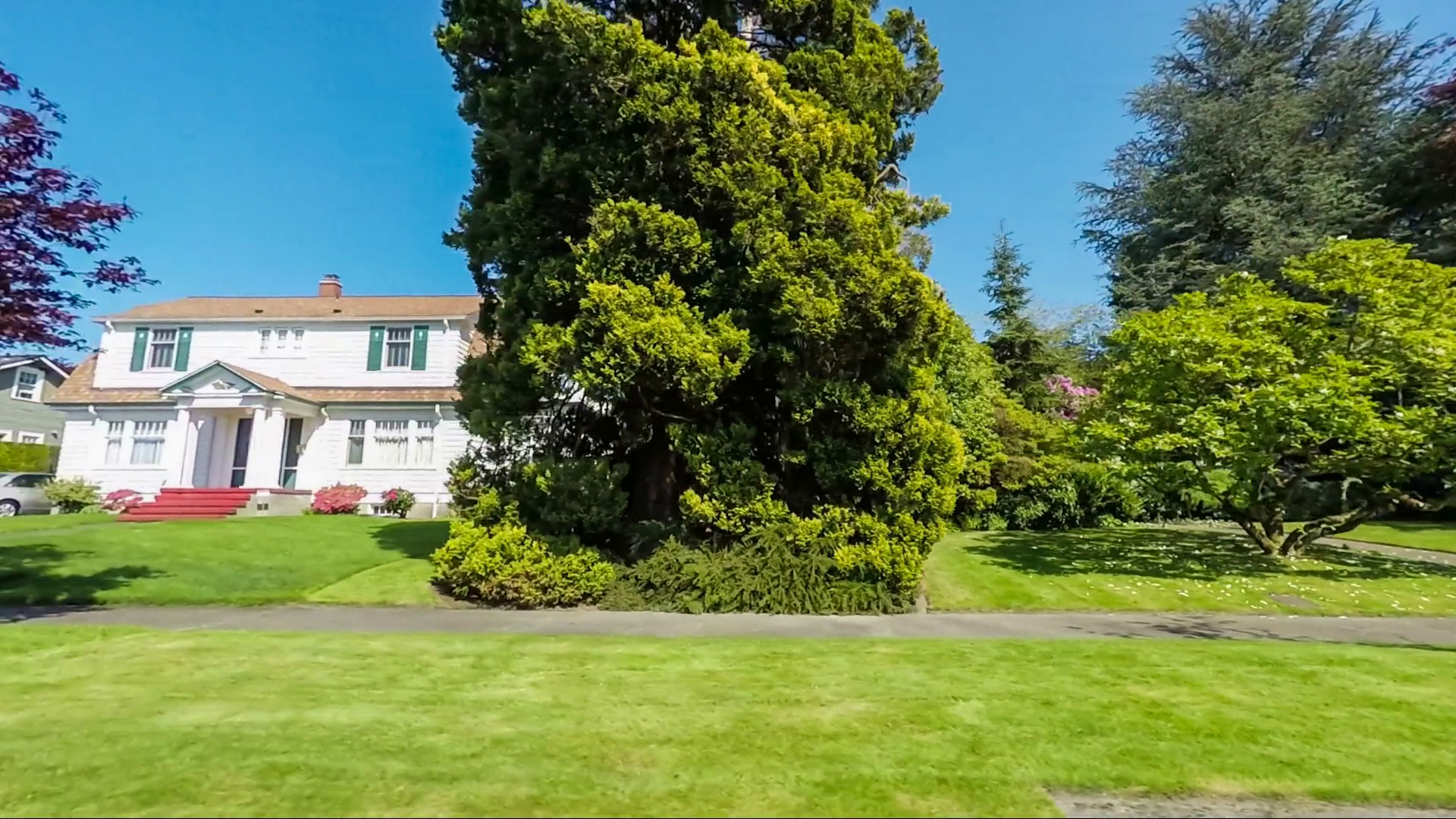 Driving Through American Suburban Stock Footage SBV-313750317 - Storyblocks