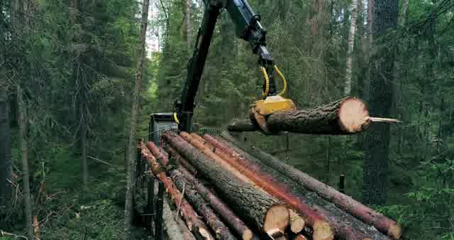 Human Destroy Nature Stock Footage: Royalty-Free Video Clips - Storyblocks