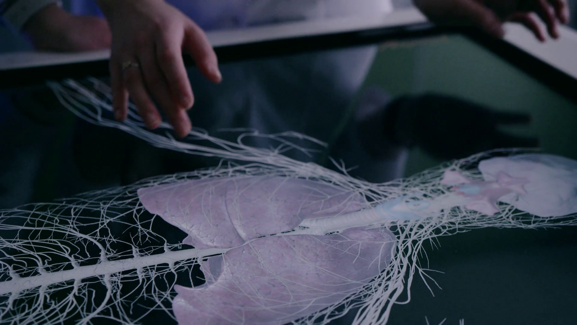 An Interactive Table With 3d Model Of Human Stock Footage SBV-338102417 ...