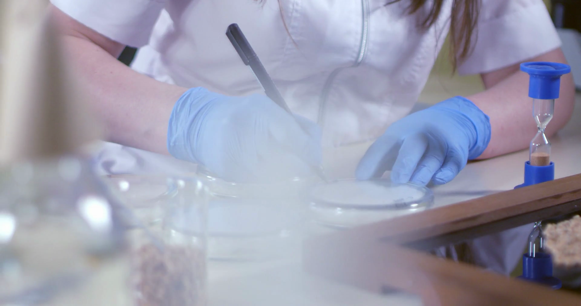 Jars With Seeds Mold Parasites In Laboratory Stock Footage SBV ...