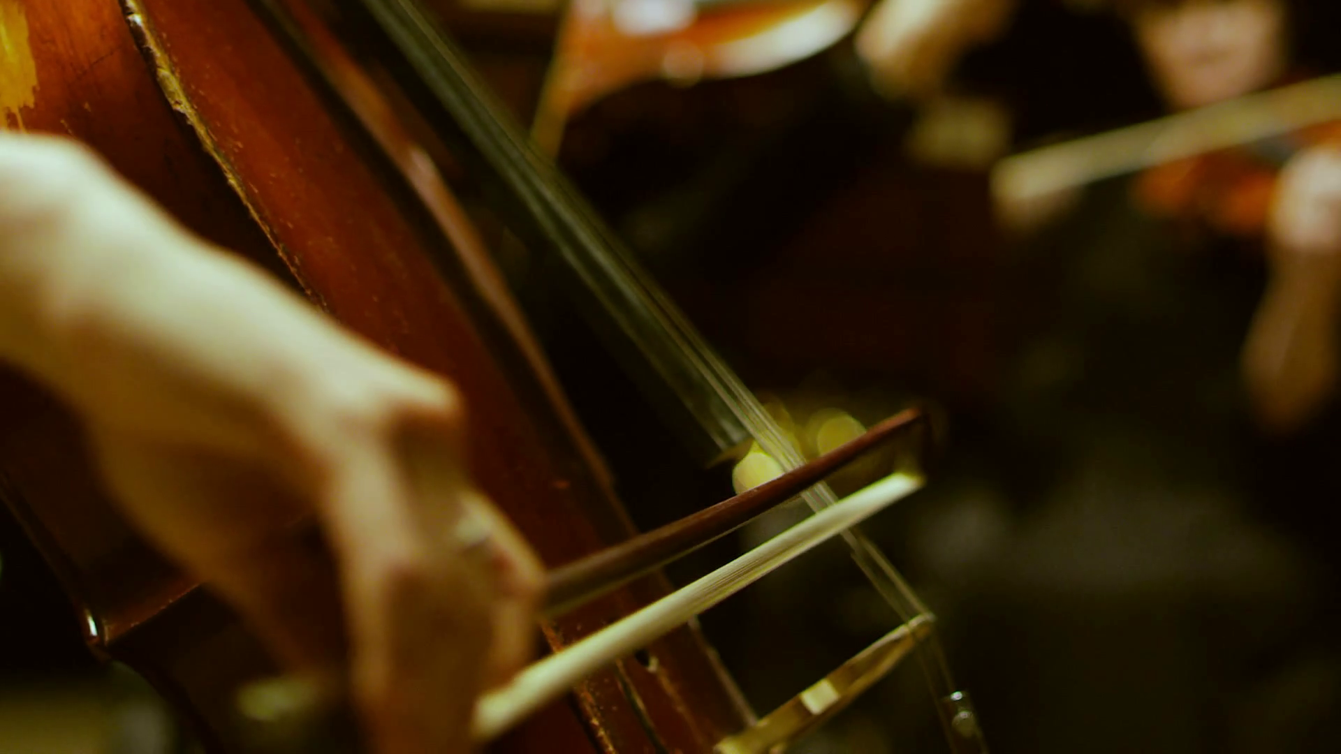 Playing Double Bass Close-up Stock Footage SBV-336729510 - Storyblocks
