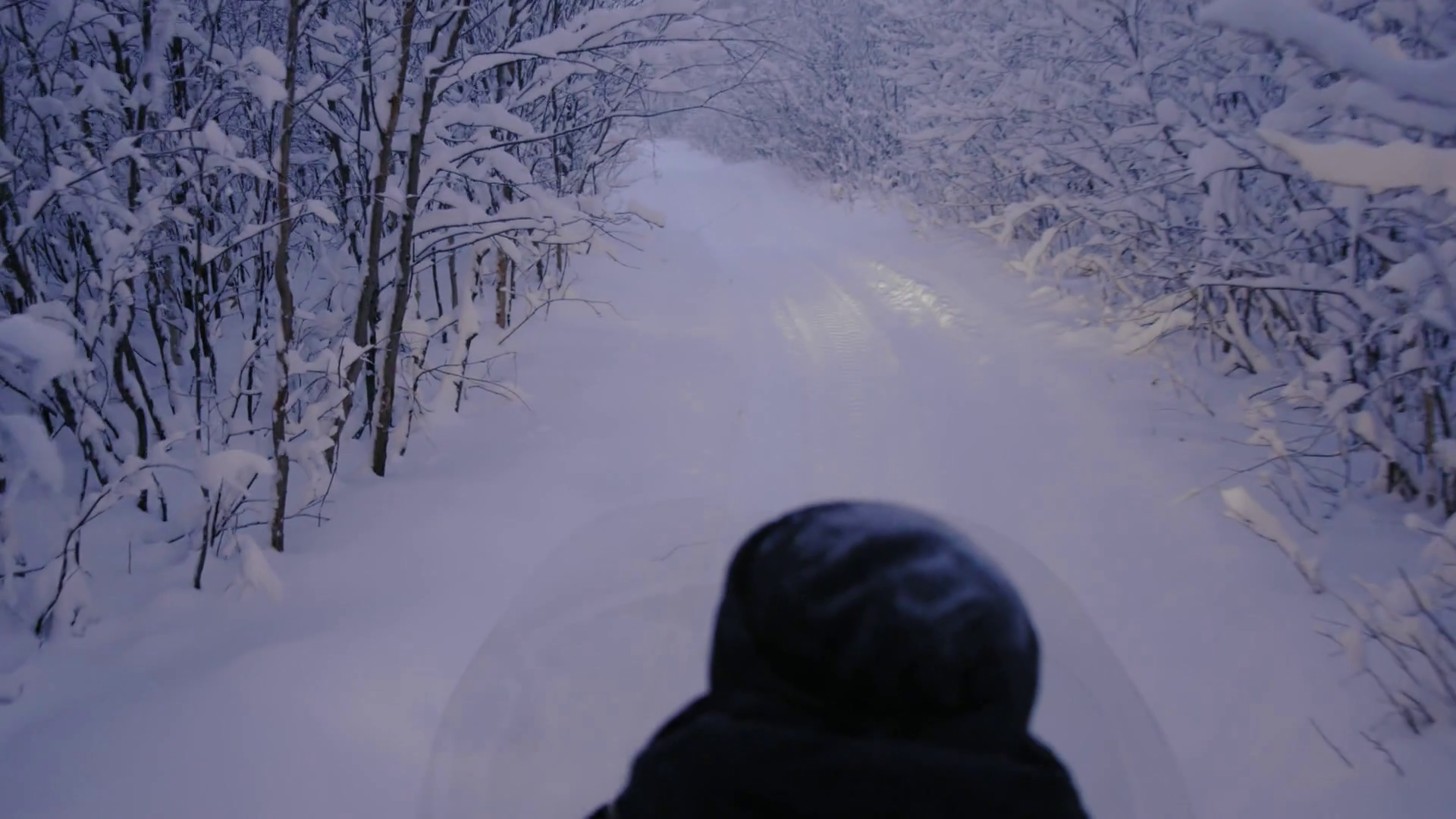 Snowmobile Ride Through Woods At Night Stock Footage SBV-320903127 ...