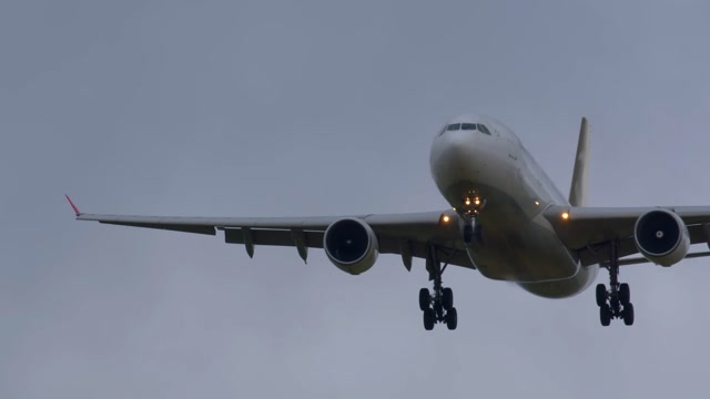 Storm Flight Stock Footage: Royalty-Free Video Clips - Storyblocks