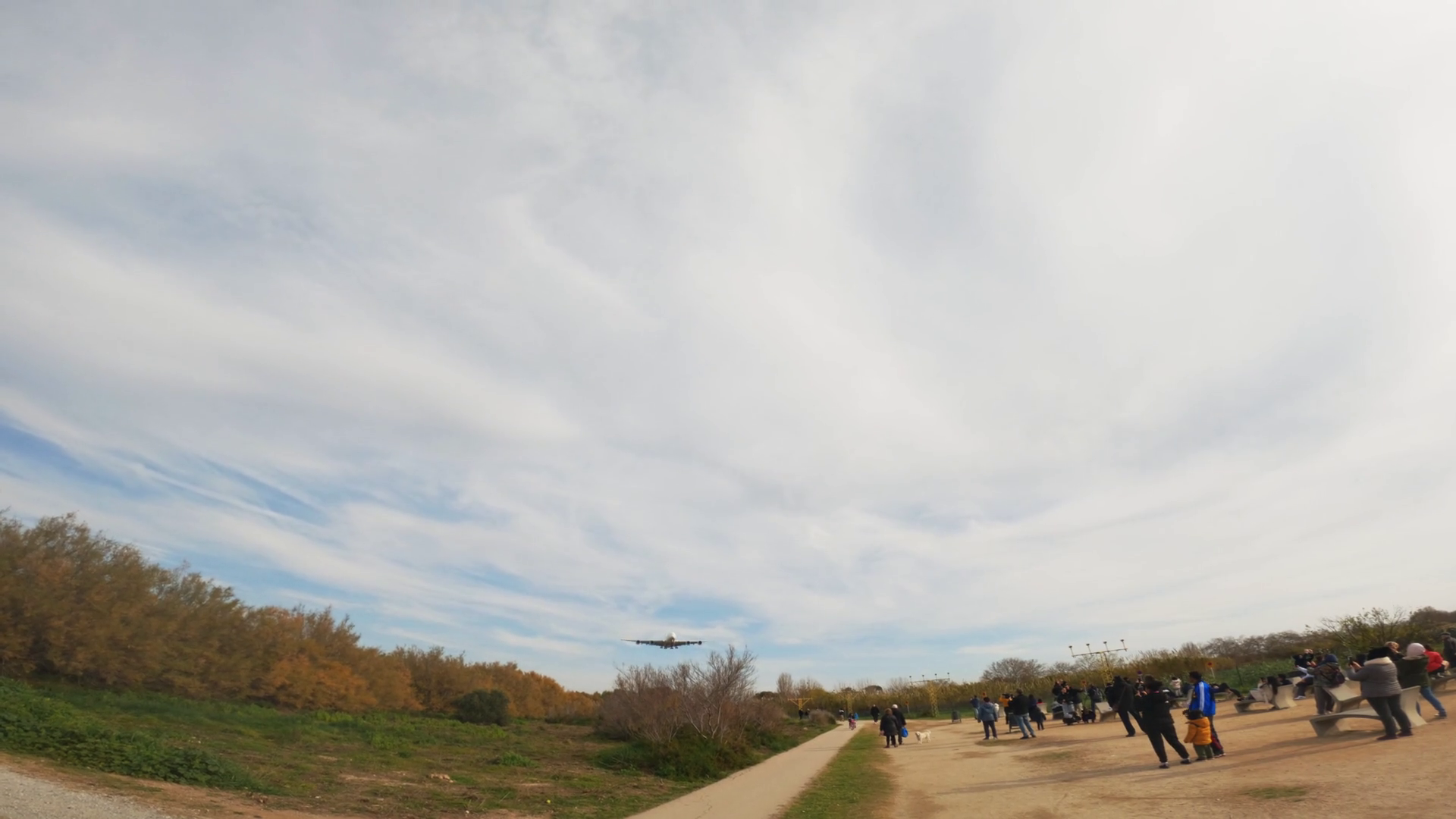 Plane Enthusiasts Gathering Near Madrid Stock Footage SBV-351841888 ...