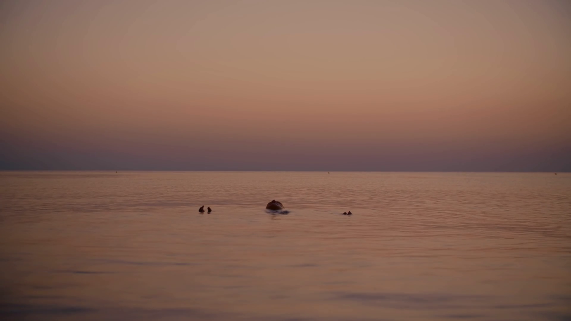 Teen Boy Submerged To Neck In Sea Eyes Stock Footage SBV-348587226 ...