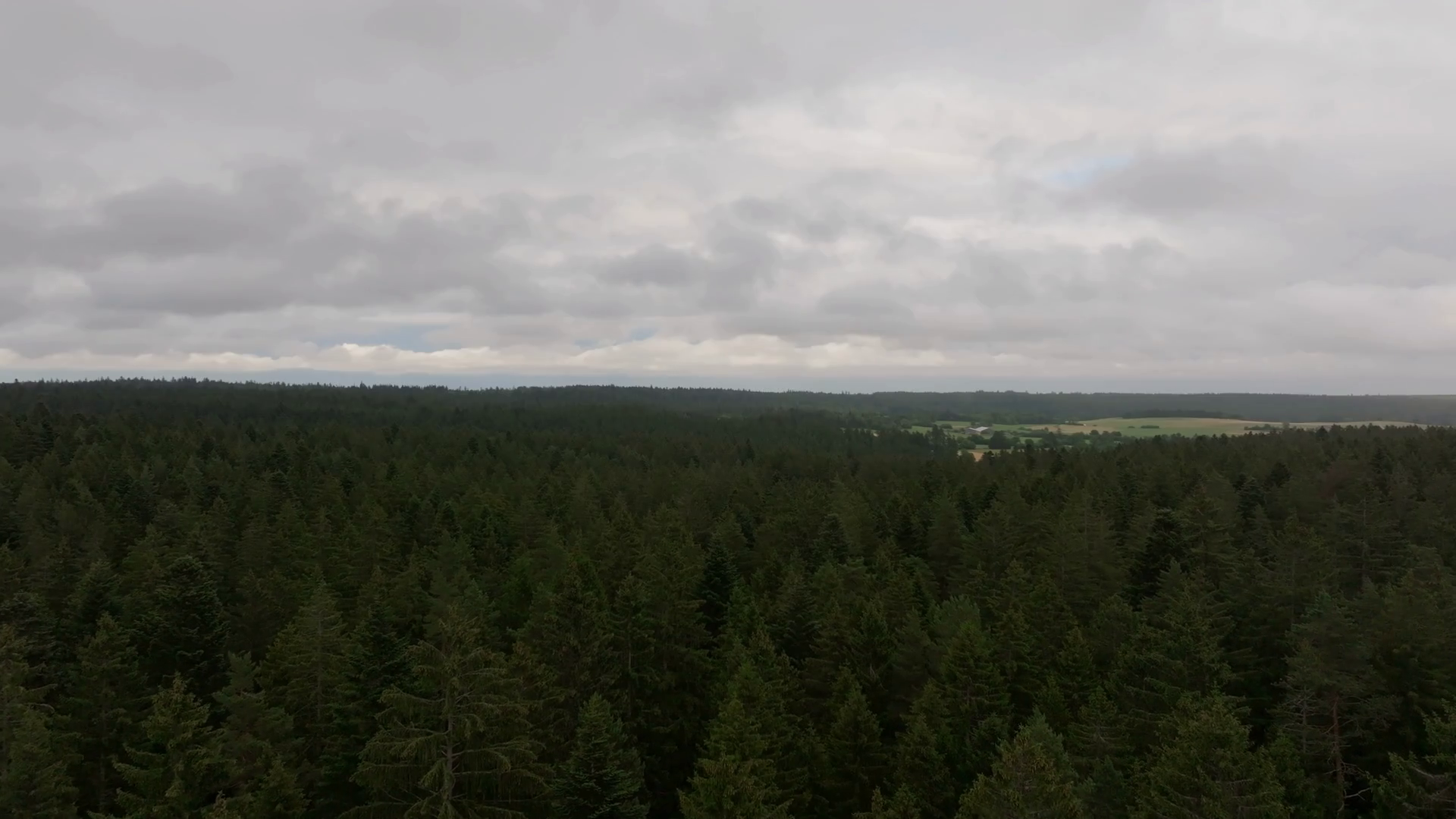 Aerial Forward Flight Over Cloudy Forest Stock Footage SBV-348806898 ...