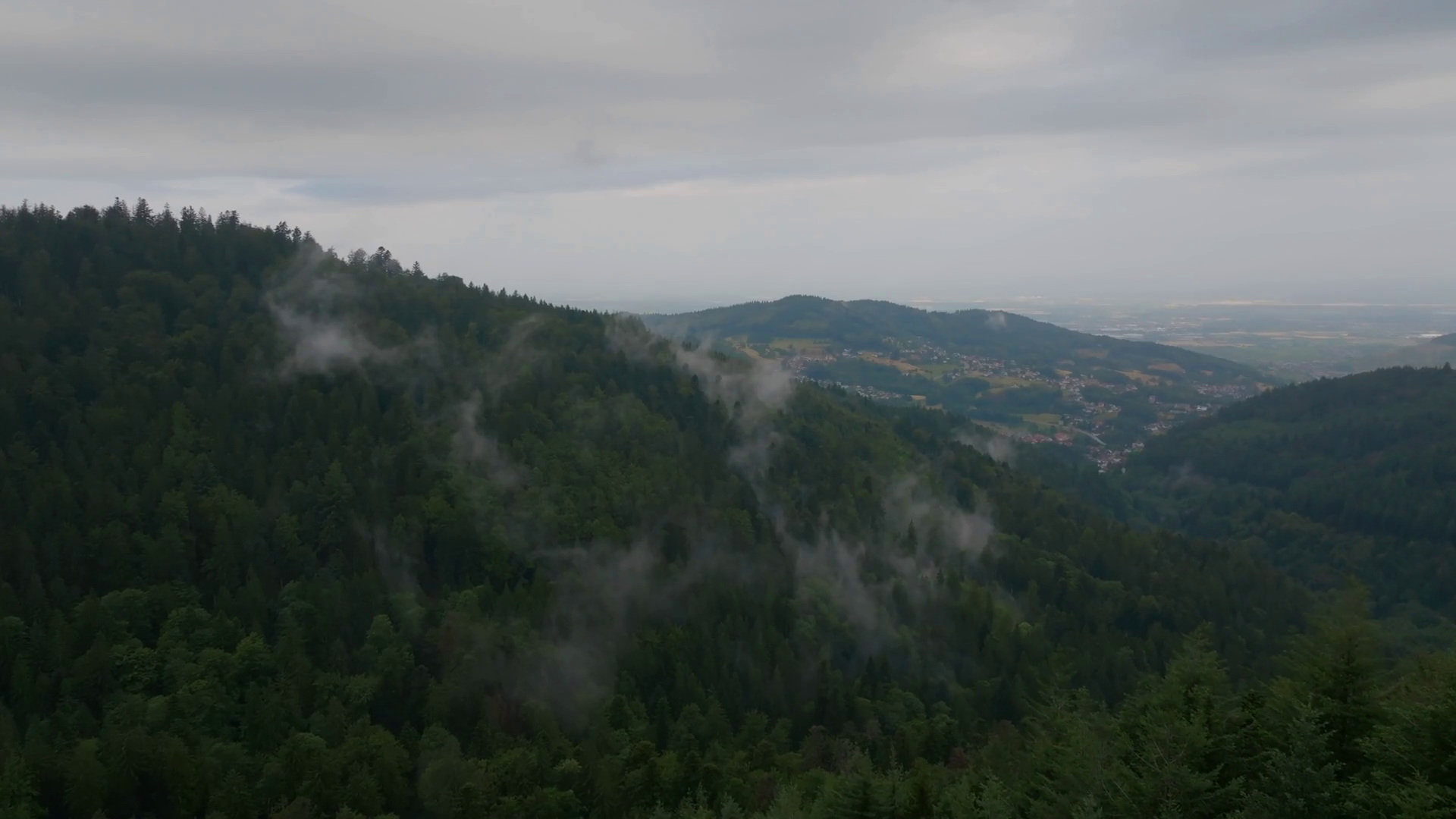 Aerial Cinematic Motion Over Forest With Stock Footage SBV-348806595 ...