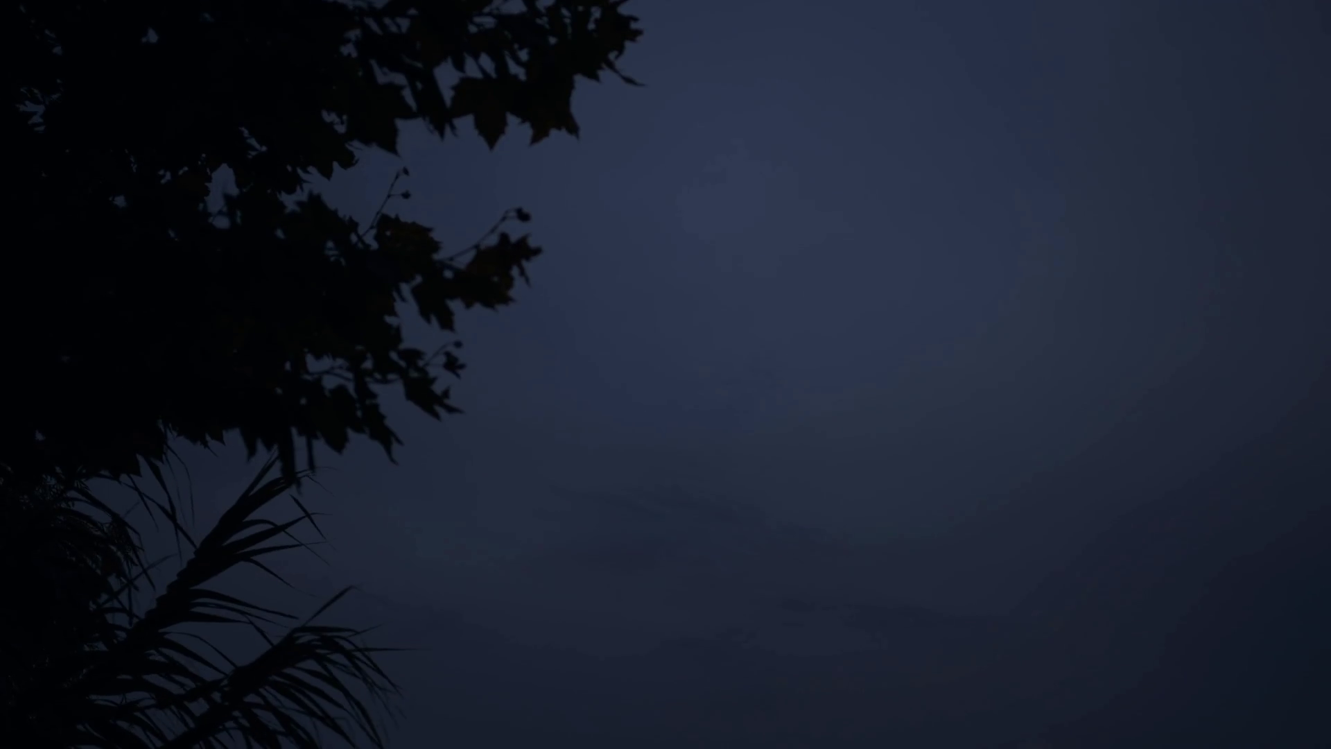 Airplane Makes Last Approach Runway Approach Stock Footage SBV ...