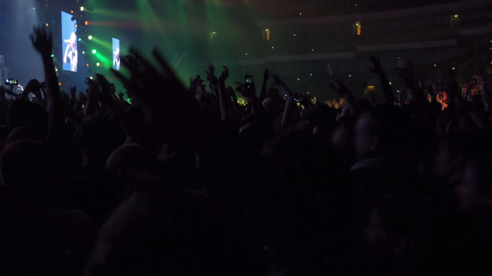 Hd Version - Crowd Of Happy Excited Fans Stock Footage SBV-338059568 ...