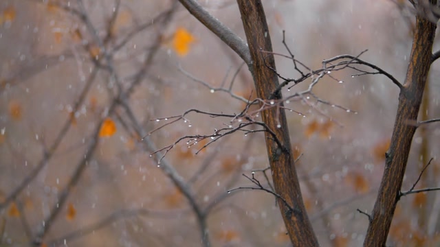 Severe Season Stock Footage: Royalty-Free Video Clips - Storyblocks