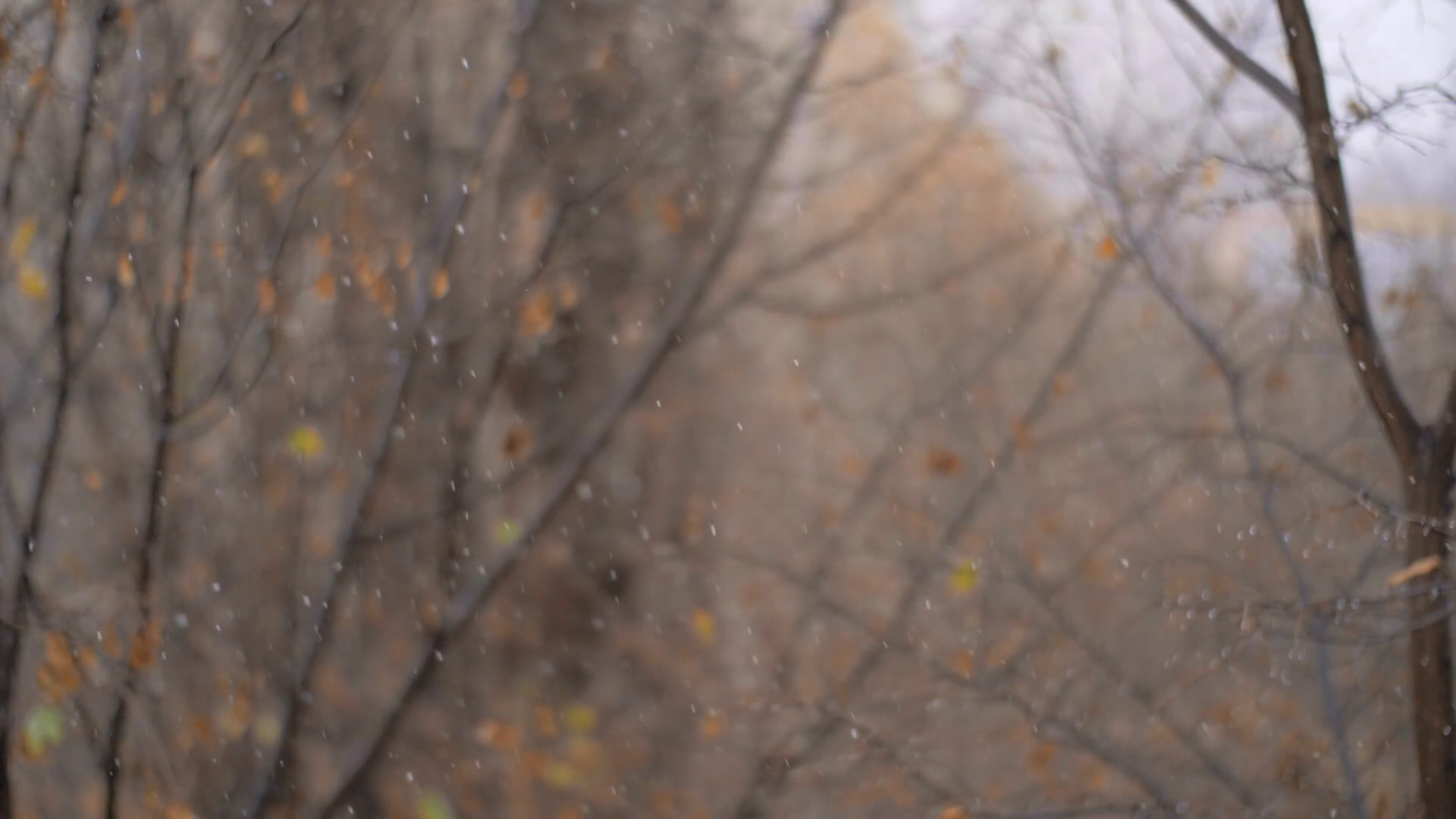 Slow Motion Shot Of Snow Falling Against Stock Footage SBV-338067534 ...