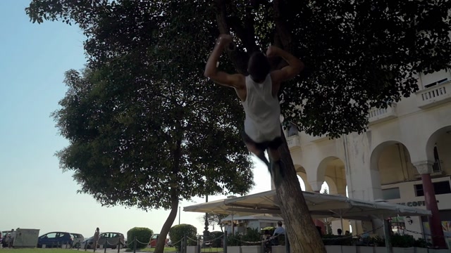 Flip A Clip Stock Footage: Royalty-Free Video Clips - Storyblocks