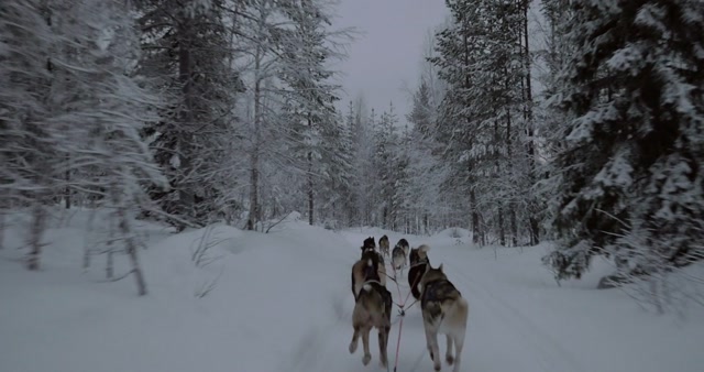 Eskimo Stock Footage: Royalty-Free Video Clips - Storyblocks