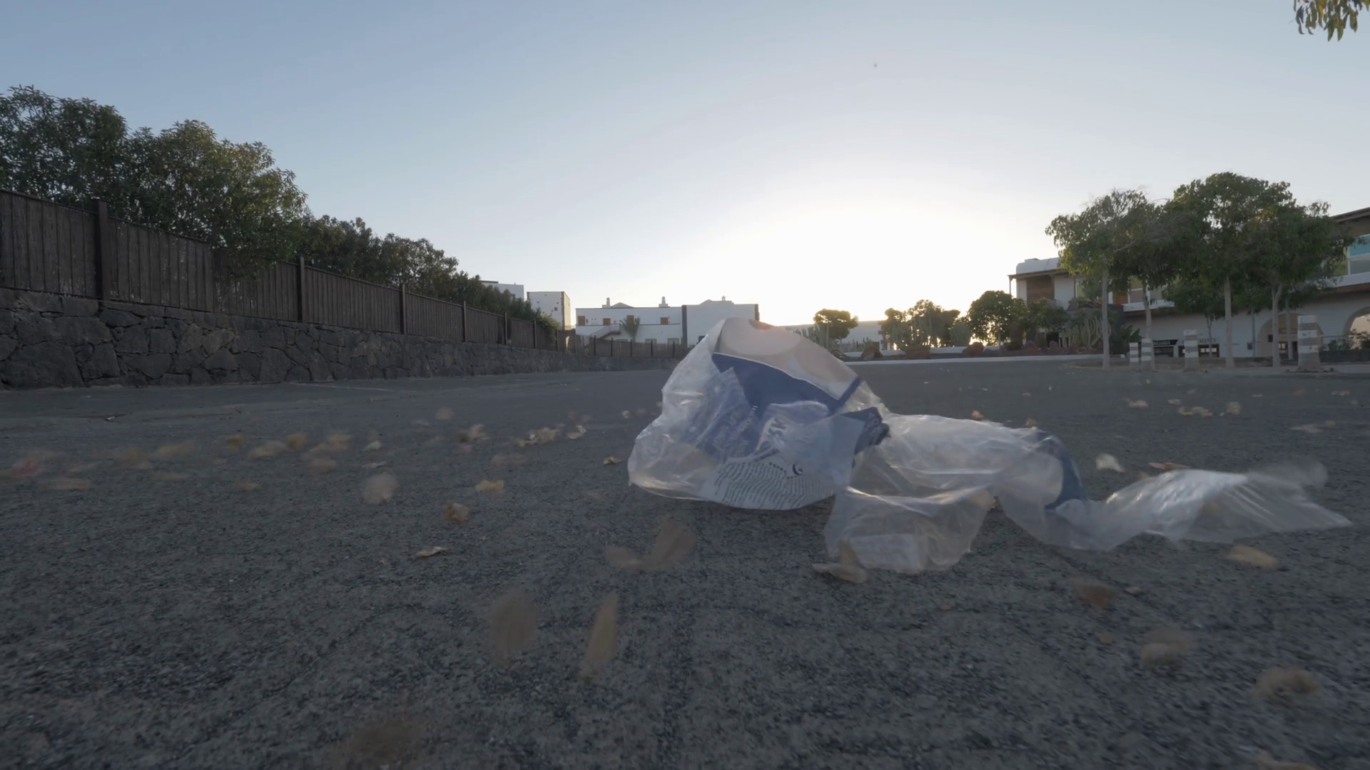 Wind Blowing Leaves Litter In City Stock Footage SBV-338955333 ...