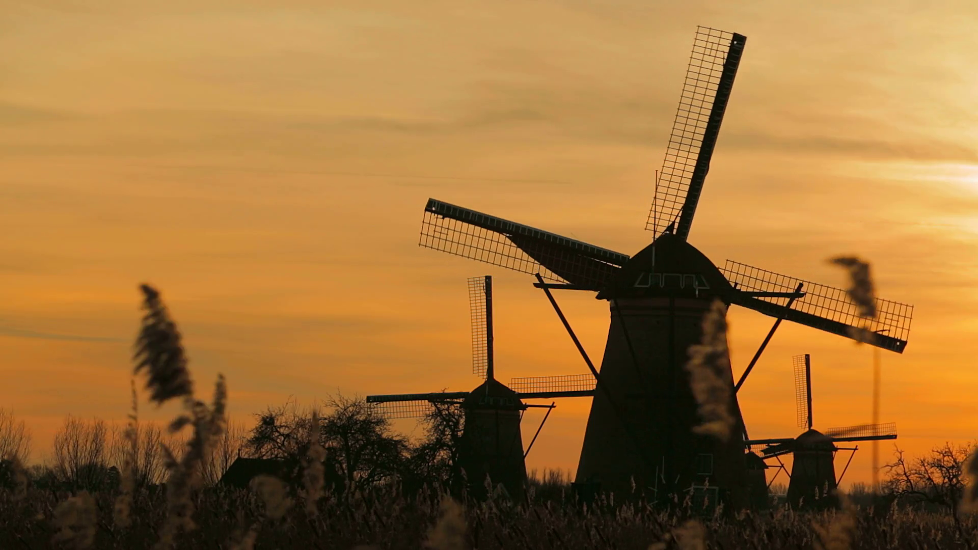 Sunset Scenery With Dutch Windmills At Stock Footage SBV-304479199 ...