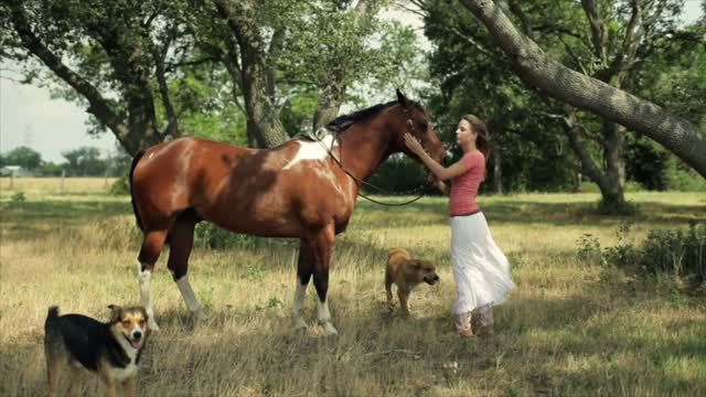 Girl And Horse Stock Footage: Royalty-Free Video Clips - Page 2 ...