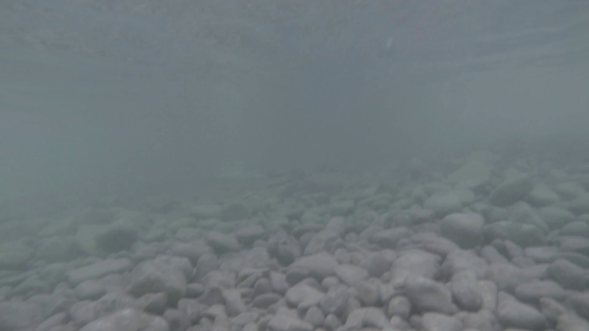 Underwater View Of Rocks On Bottom Of River Stock Footage SBV-309306470 ...