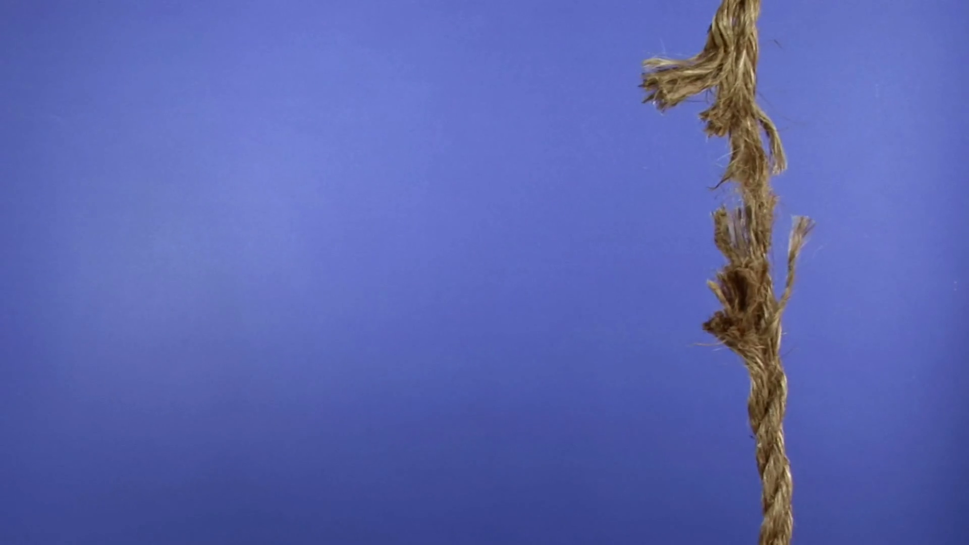 Hands Of Man Trying To Climb Frayed Rope In Stock Footage SBV-331470431 ...