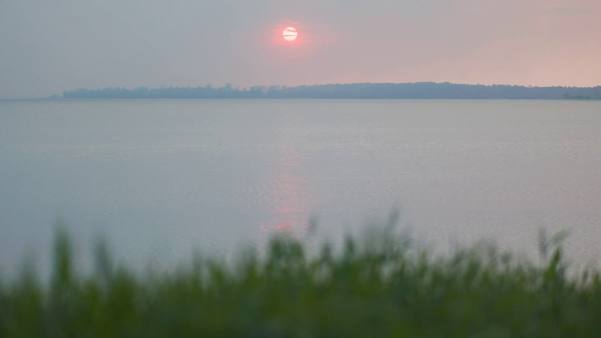 Red Sunset Over Lake With Grass In Foreground Stock Footage SBV ...