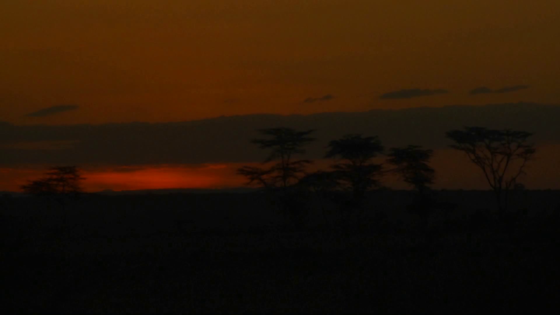 A Stunning Sunrise Over Plains Of Africa Stock Footage SBV-307927248 ...
