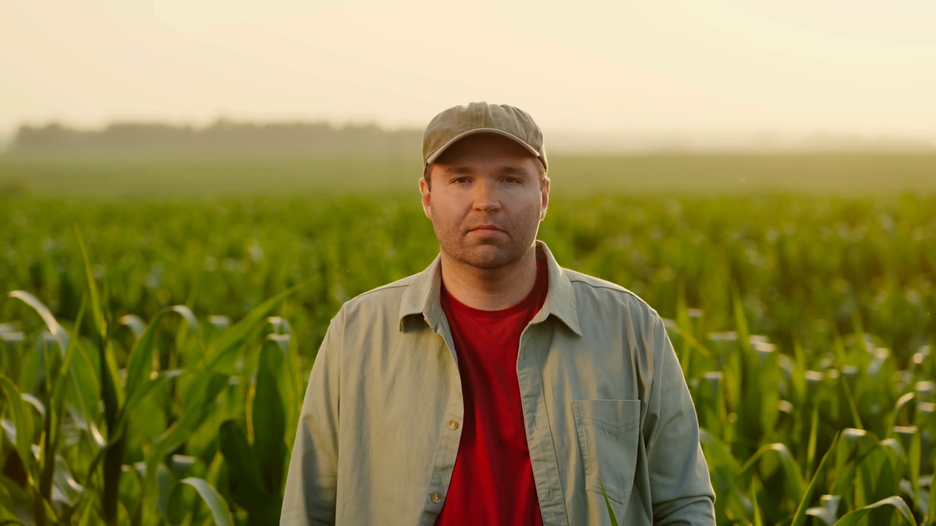Medium Portrait Of Male Farmworker Stock Footage SBV-348543535 ...