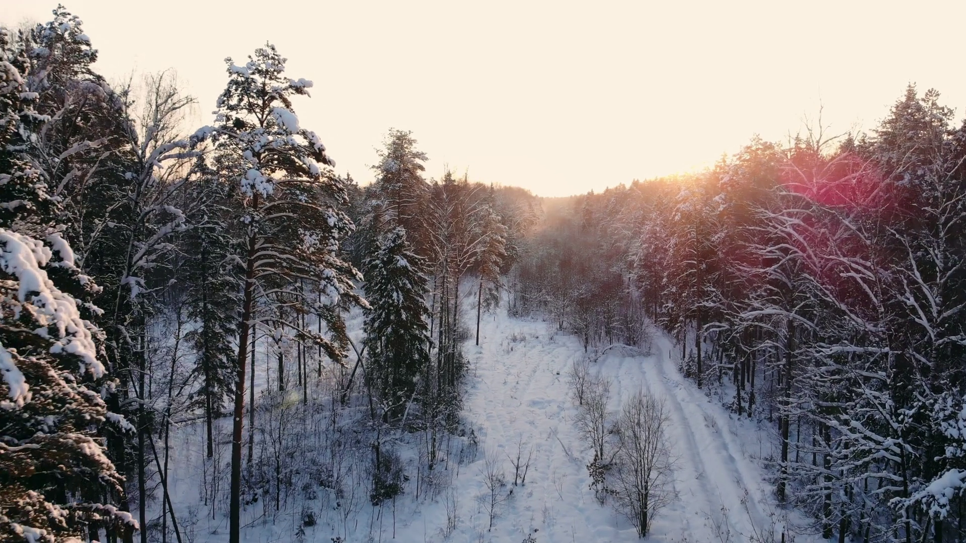 Car Rides Road In Snow-covered Forest Stock Footage SBV-330677806 ...