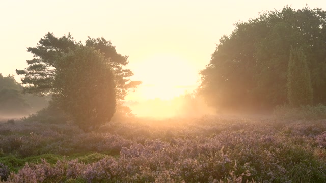 Morning Haze Stock Footage: Royalty-Free Video Clips - Storyblocks