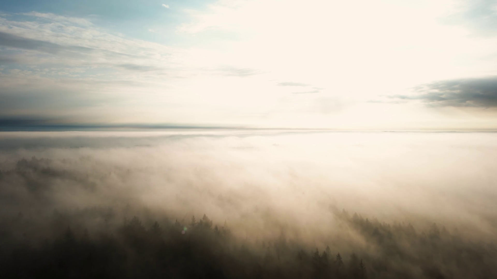 Bright Sun Illuminating Fog Covering Forest Stock Footage SBV-352165410 ...
