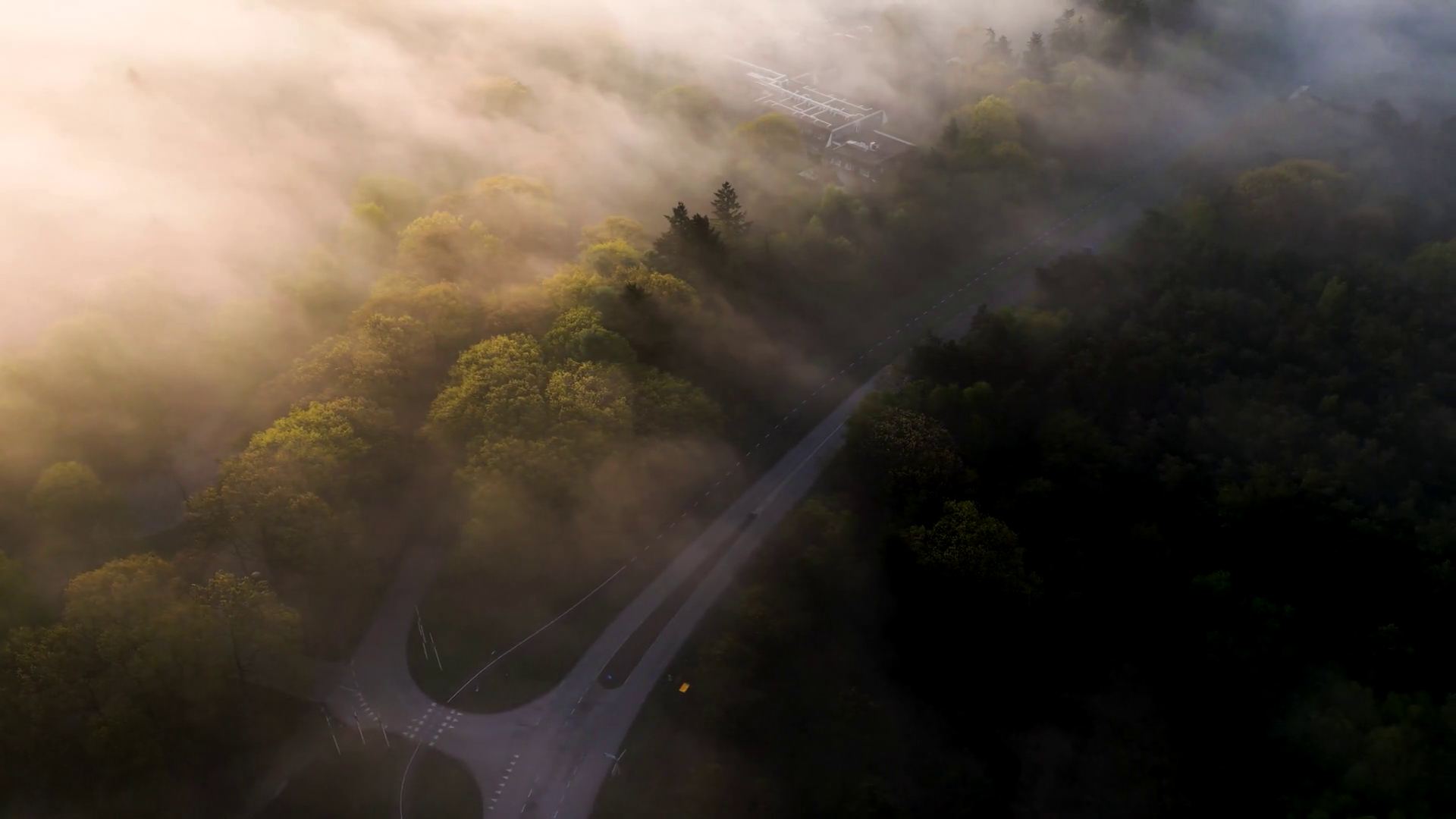 Fog Rolling Over Forest Road Junction At Stock Footage SBV-352165354 ...