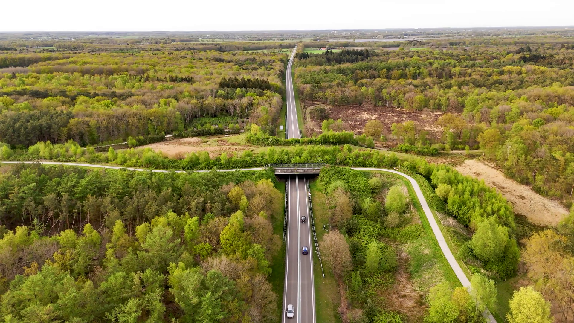 Highway Crossing Ecoduct Wildlife Overpass Stock Footage SBV-352207223 ...
