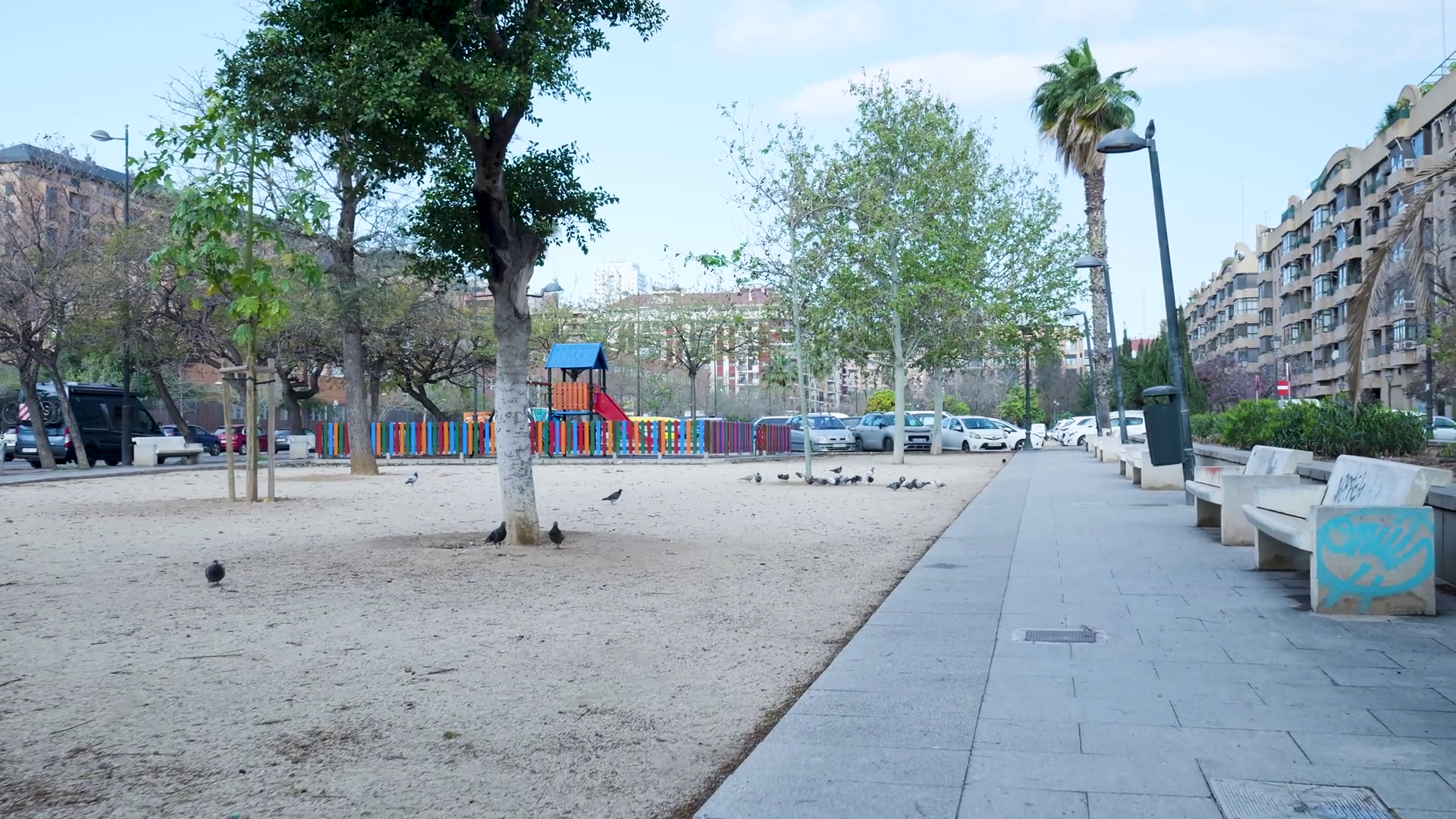 Pigeons Gathering In Urban Playground Stock Footage SBV-352158614 ...