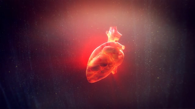 Heart Stock Footage: Royalty-Free Video Clips - Storyblocks