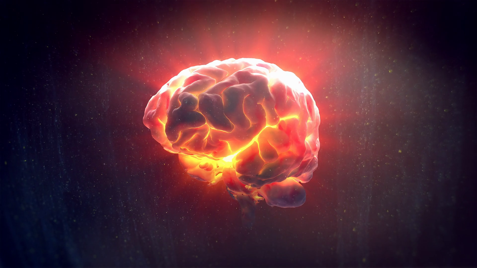 Demonstration Of Brain Activity Active Brain Stock Motion Graphics SBV ...