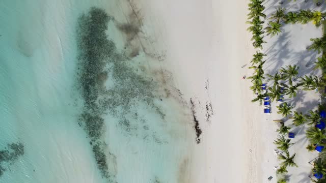 Flycam Resort Stock Footage: Royalty-Free Video Clips - Storyblocks